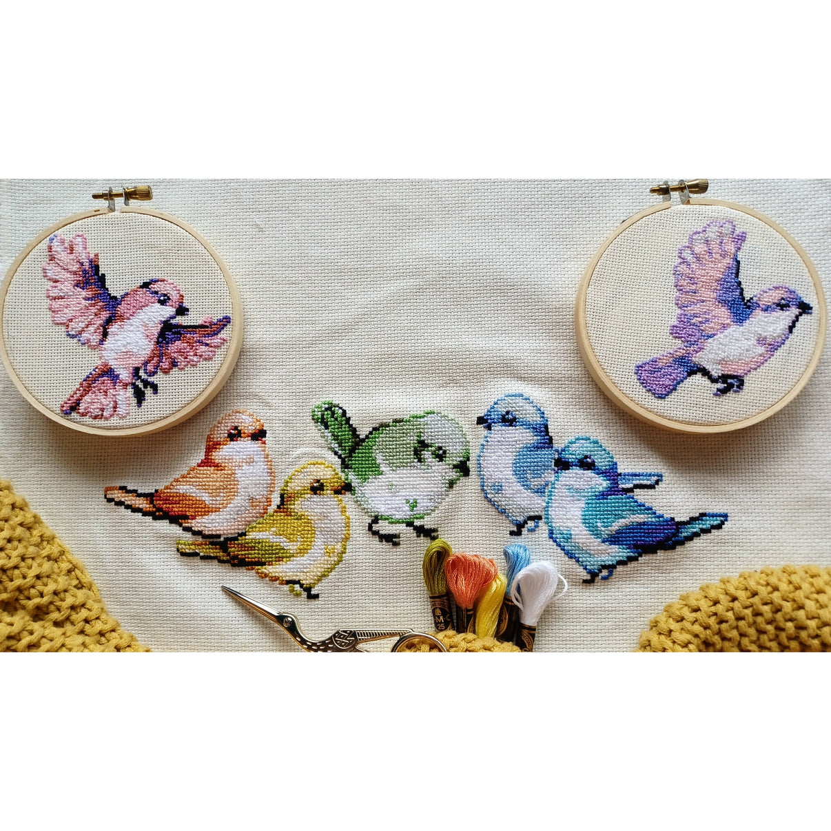 The Colourful Flock – Rolitae